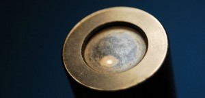 Diatoms: Interesting Facts - Progressive Planet