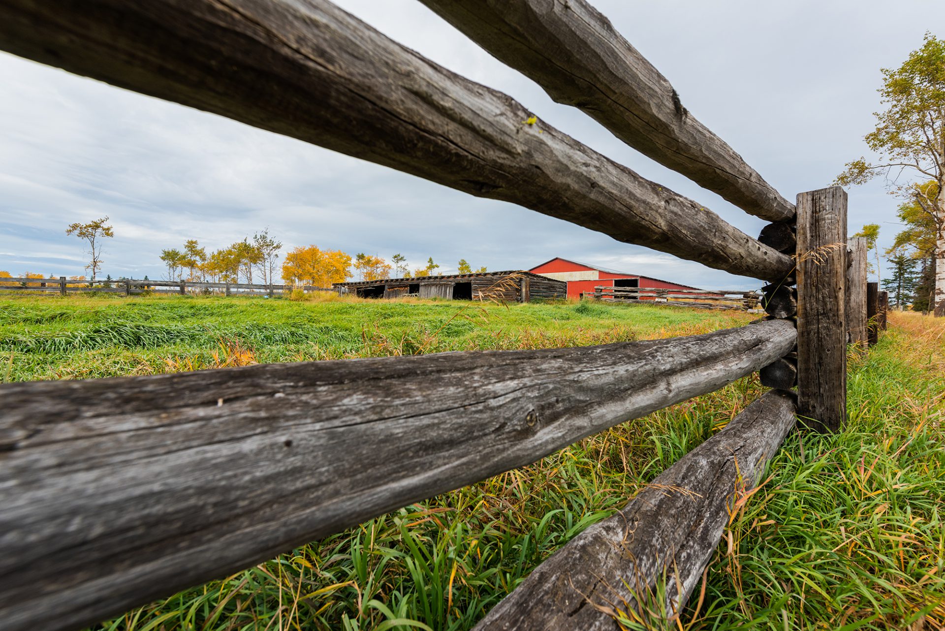 Progressive Planet Announces Sustainable Fertilizer and Agriculture ...