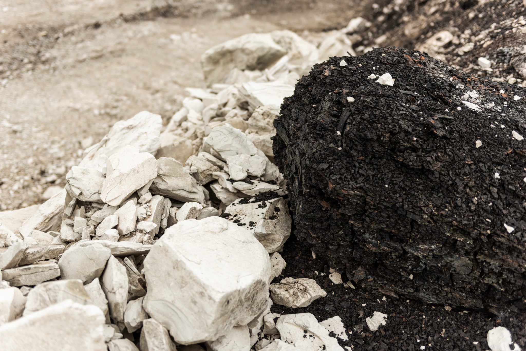 Wundercat - Progressive Planet | Cat Litter